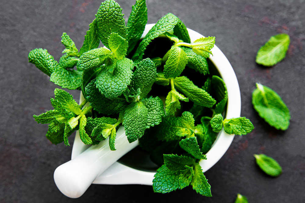 Die Kraft der Minze